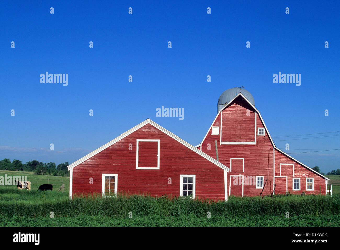RED FARM BUILDINGS NEAR PEASE IN CENTRAL MINNESOTA, U.S.A. SUMMER Stock ...