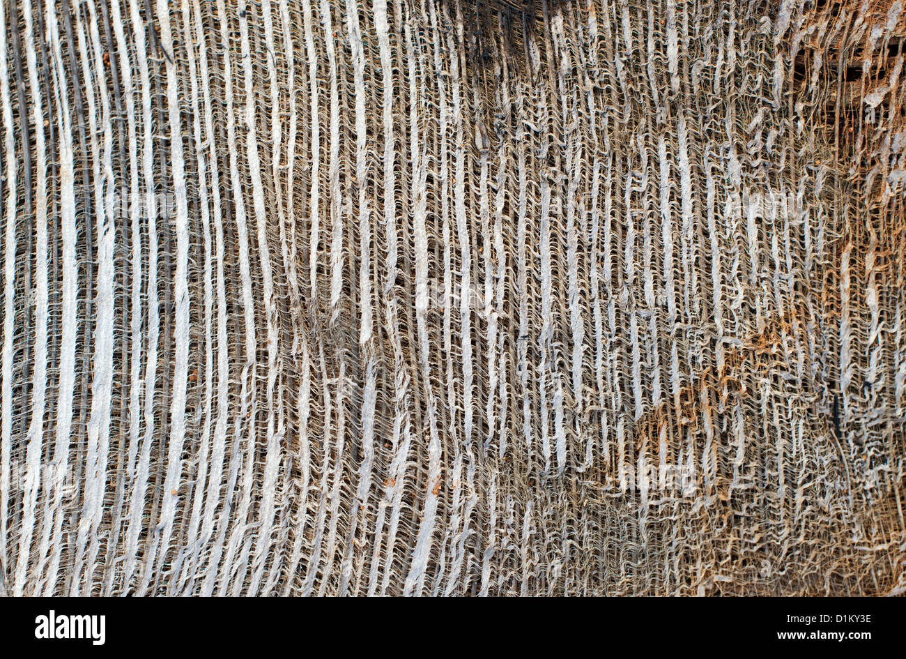 Indian coconut palm tree bark husk Stock Photo - Alamy