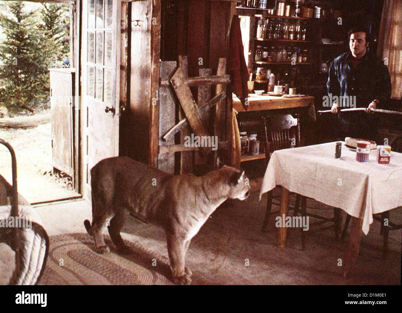 Zwei Wie Katz Und Maus Continental Divide John Belushi Der Stadtmensch ...