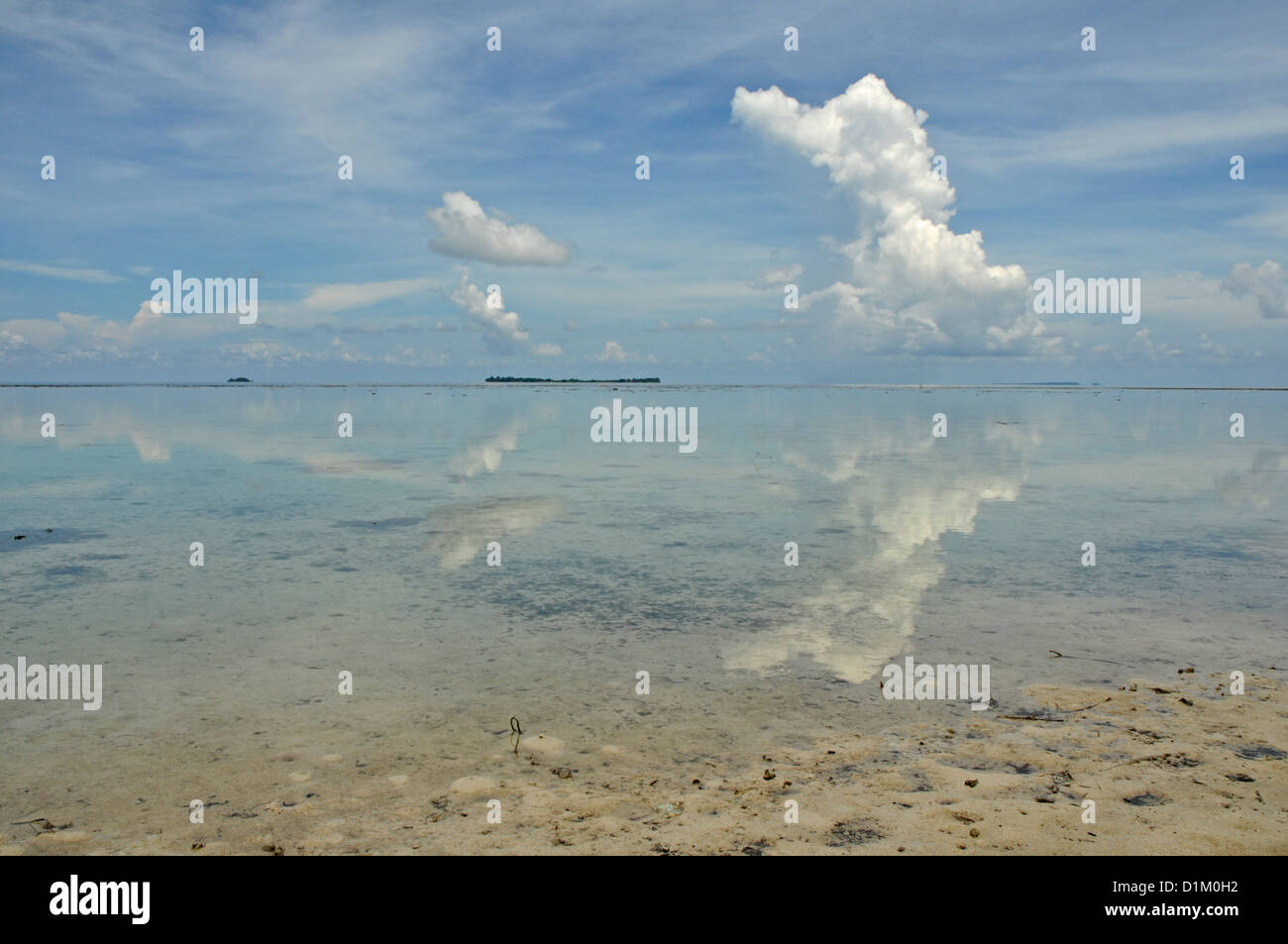 INDONESIA, Karimunjawa Islands (near Java), Little Menjangan Island ...