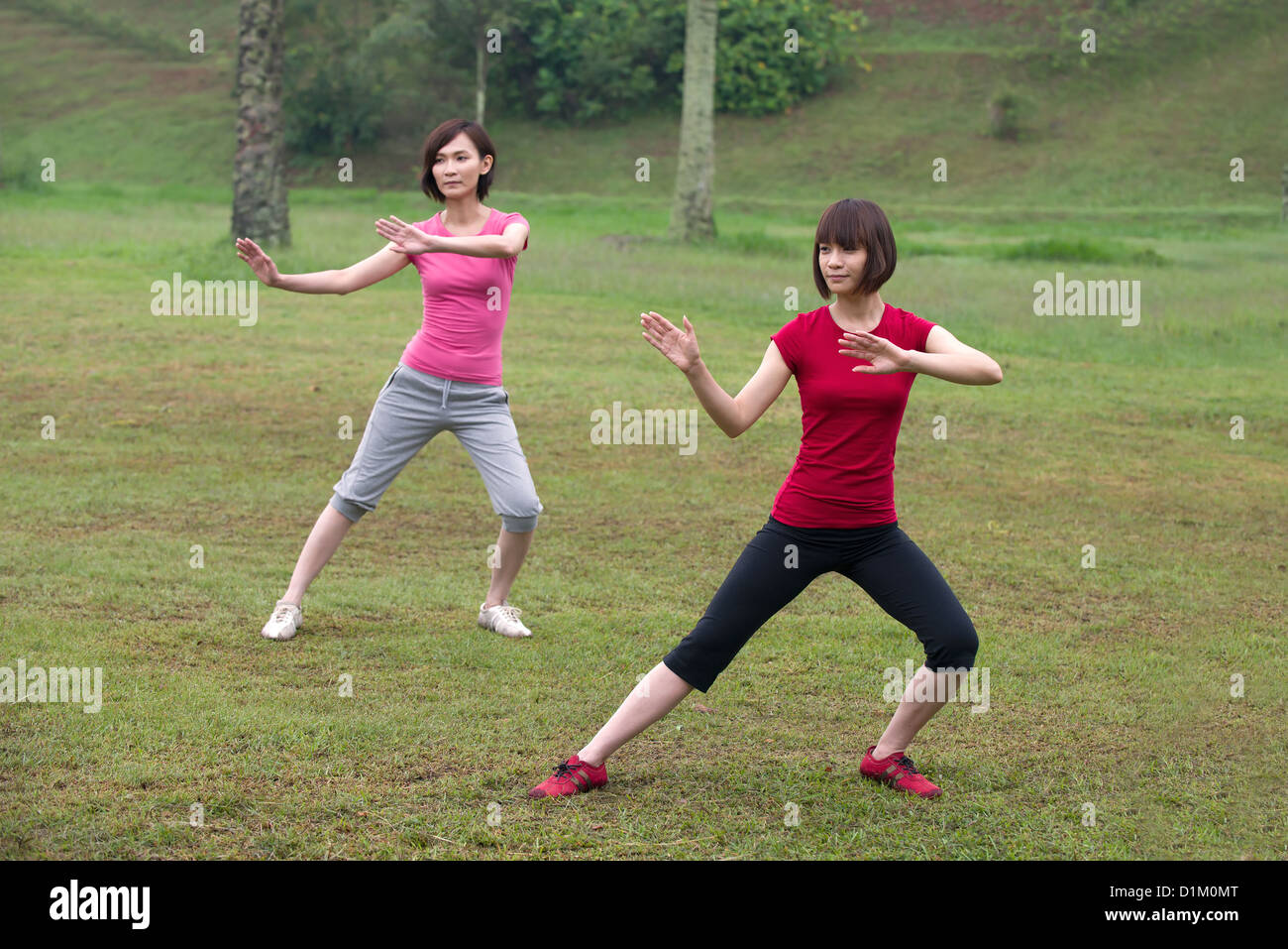 asian girls tai chi outdoor , chinese women Stock Photo - Alamy