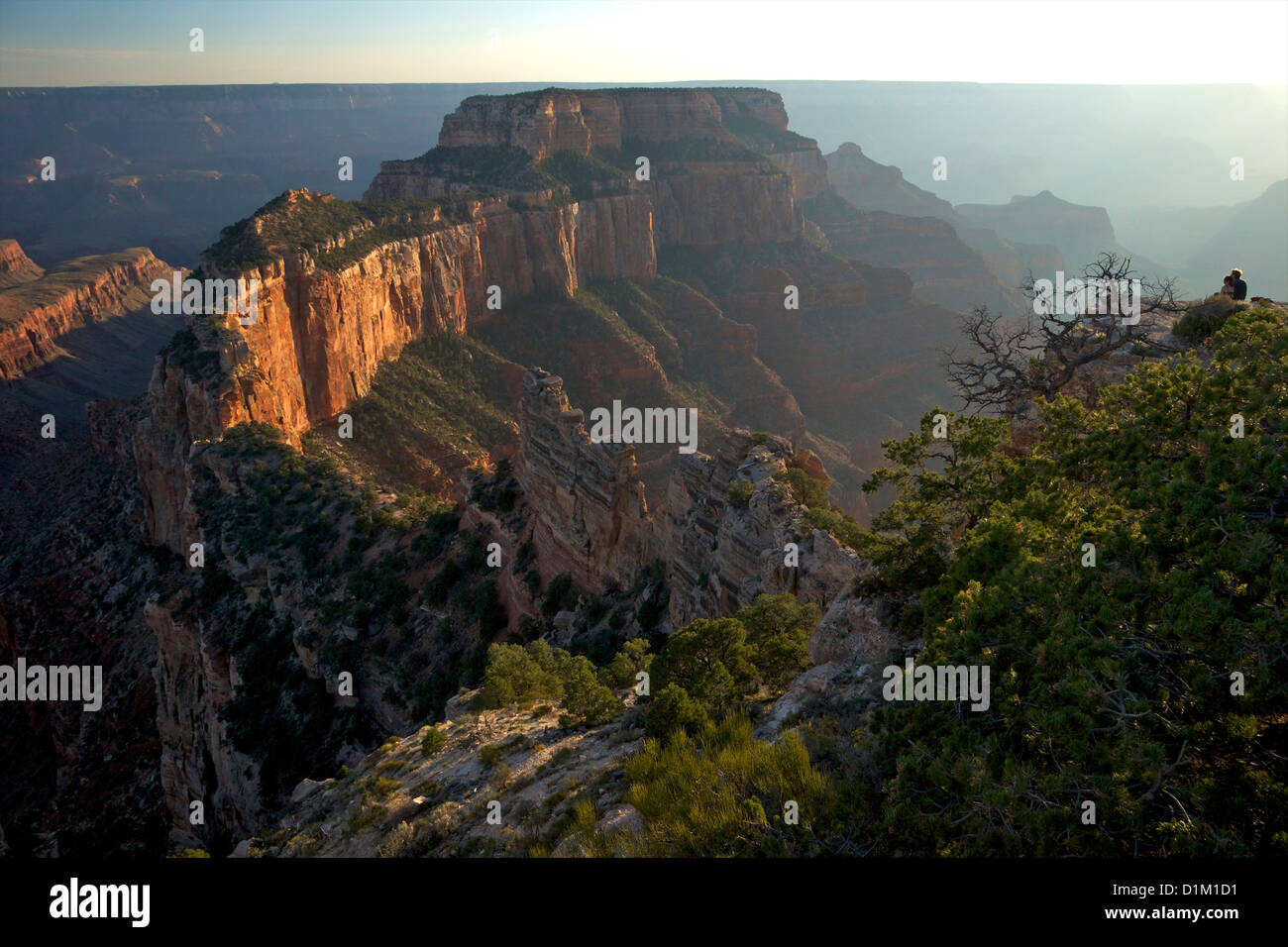 Grand canyon north rim from cape royal hi-res stock photography and ...