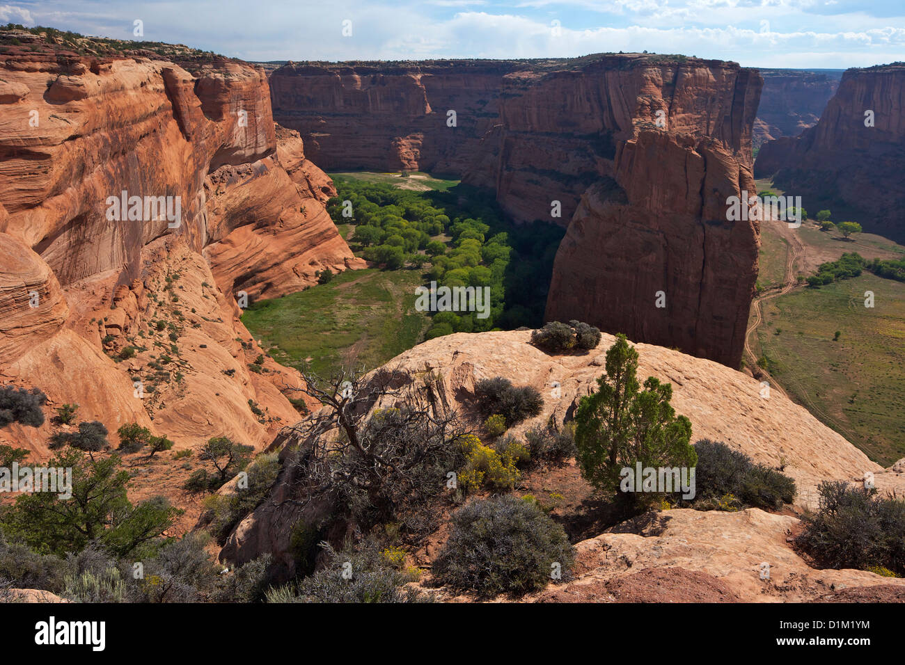 Divide between Canyon del Muerto and Black Rock Canyon from Antelope ...