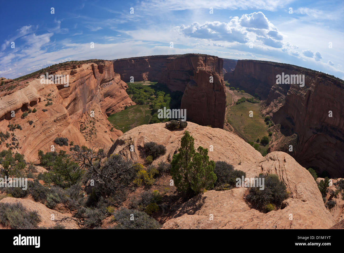 Divide between Canyon del Muerto and Black Rock Canyon from Antelope ...