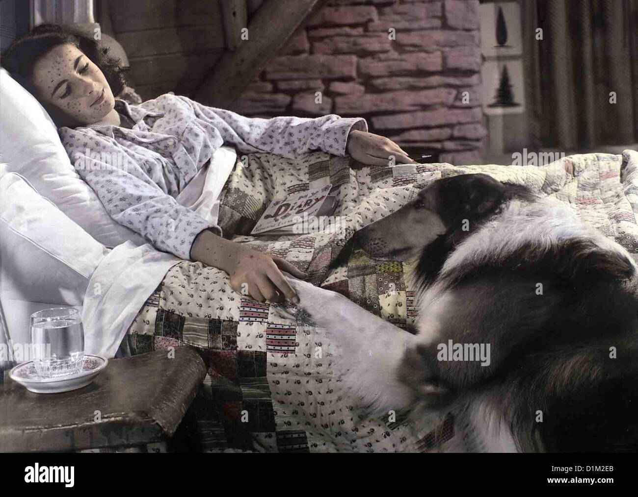 Held Auf Vier Pfoten Courage Of Lassie Elizabeth Taylor Lassie