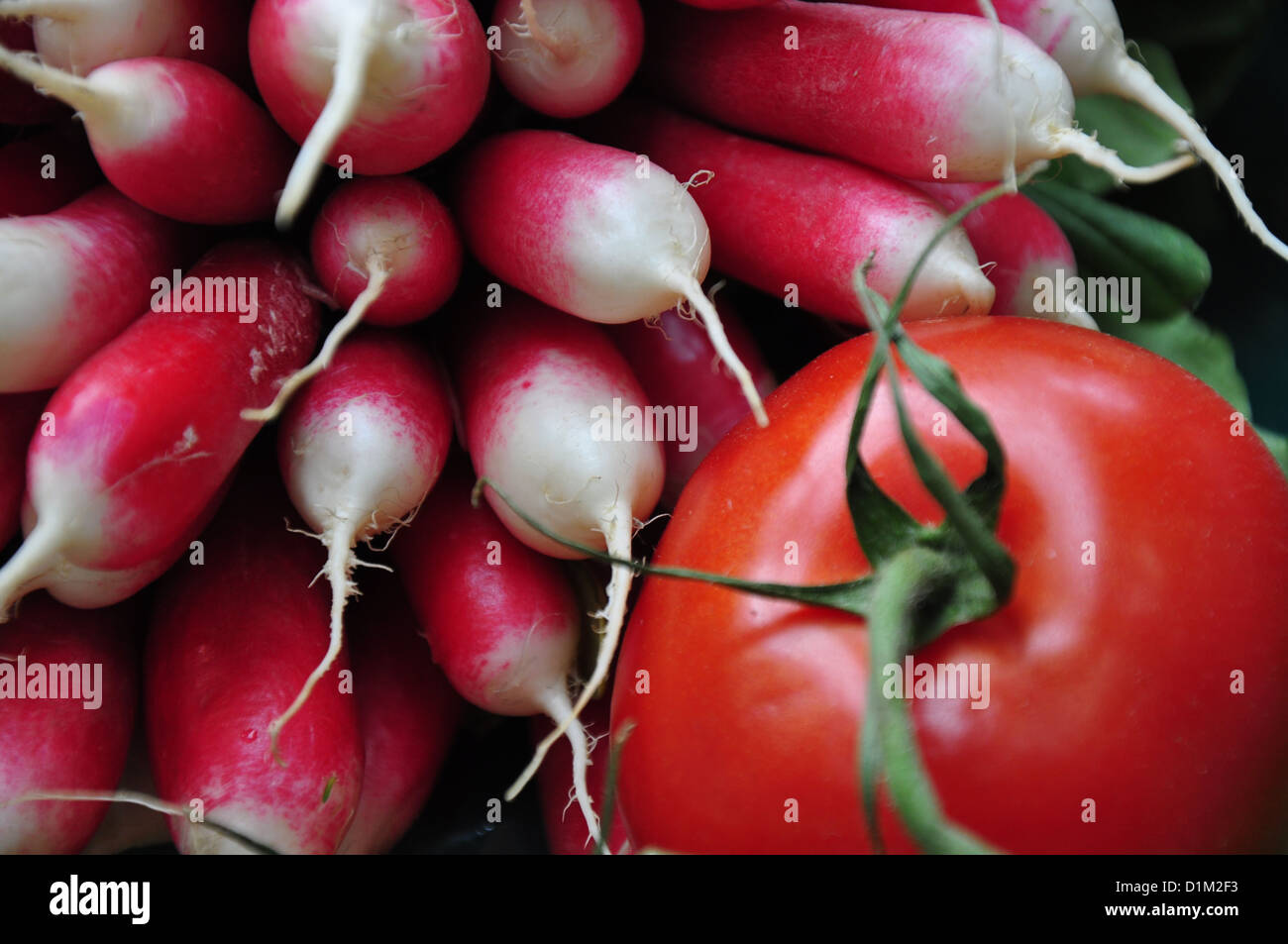Radishes and tomato Stock Photo - Alamy