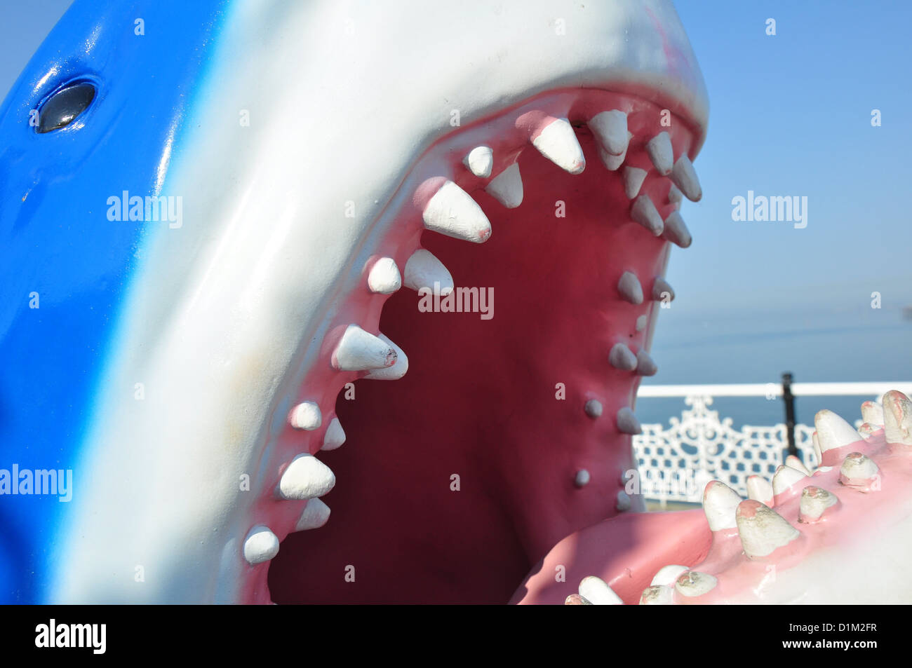 Shark attack hi-res stock photography and images - Alamy