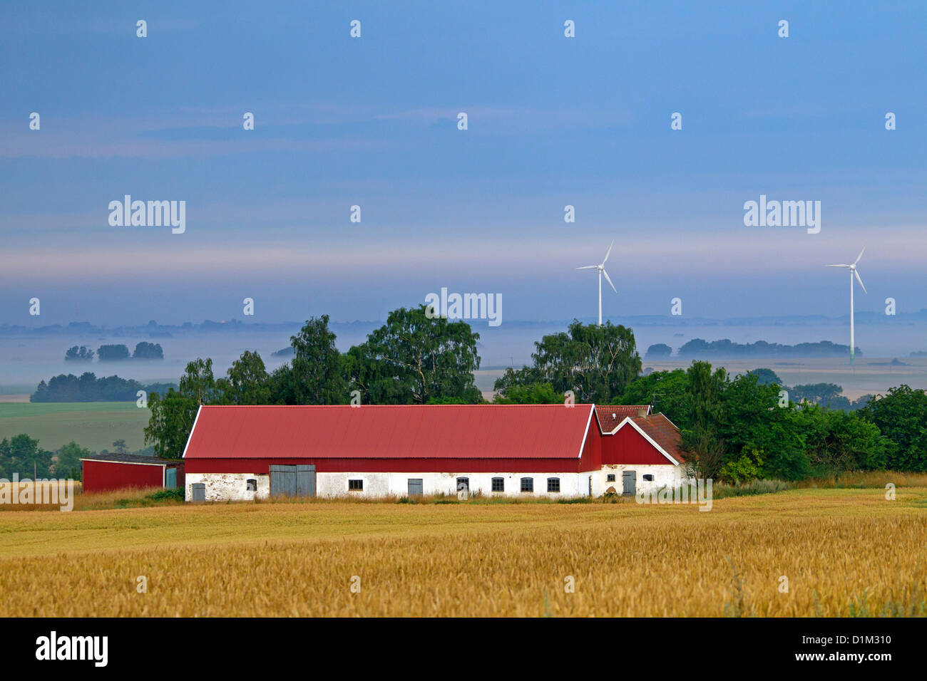 Wind turbines and red farm in wheat field, Skåne, Sweden, Scandinavia ...