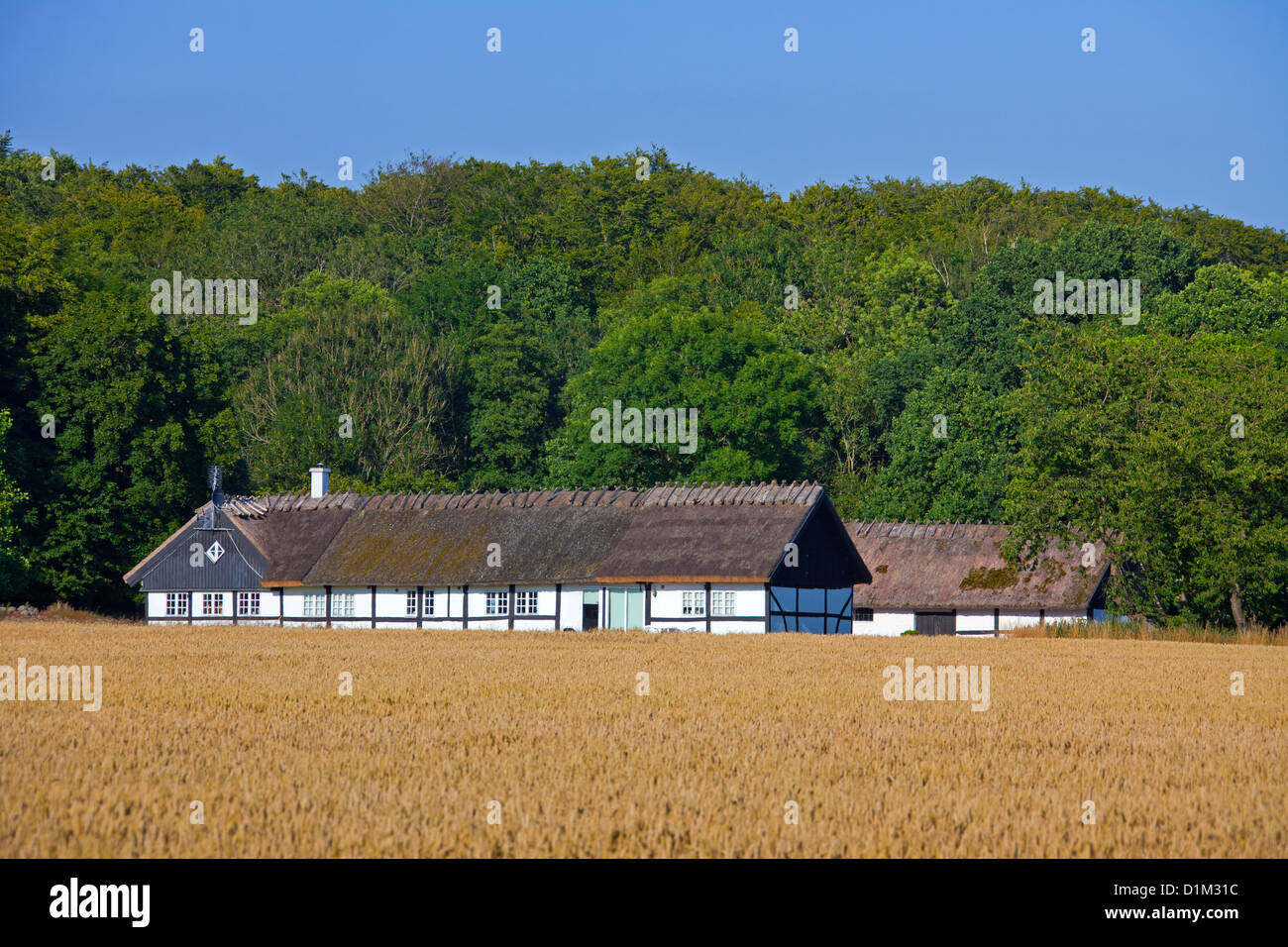 Traditional thatched roof farm house hi-res stock photography and ...