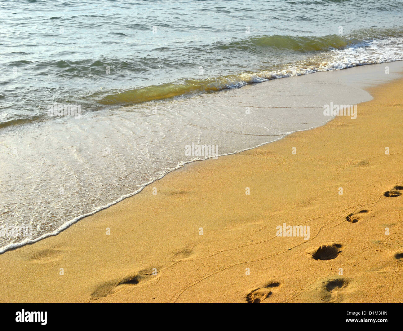 sand beach, sea and footsteps Stock Photo - Alamy