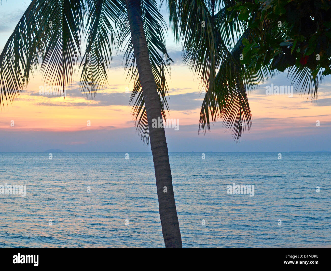 Palm tree isle hi-res stock photography and images - Alamy