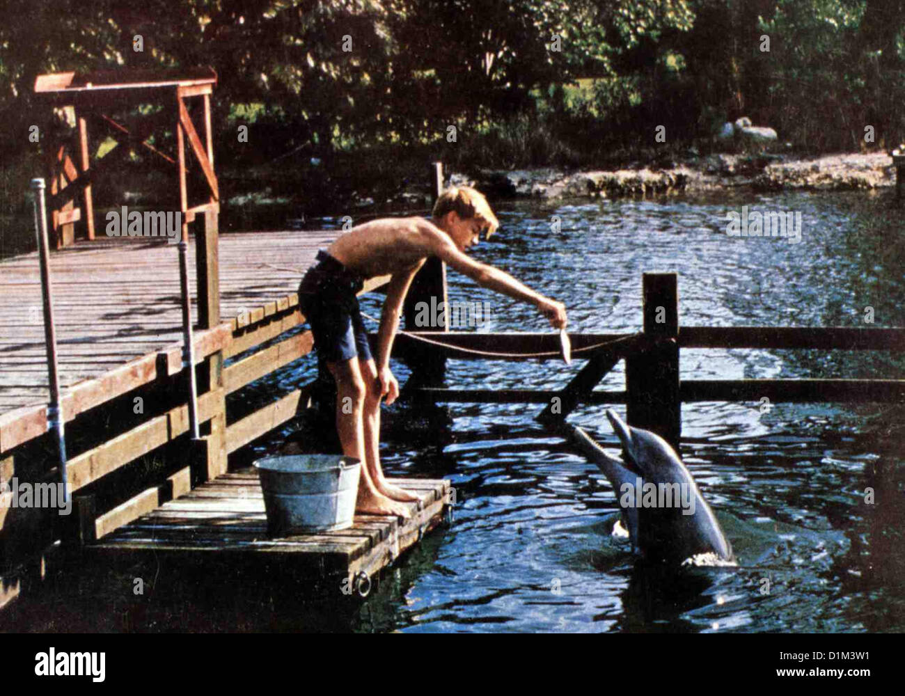 Flipper Flipper Luke Halpin Nachdem Sandy Ricks (Luke Halpin) einen ...