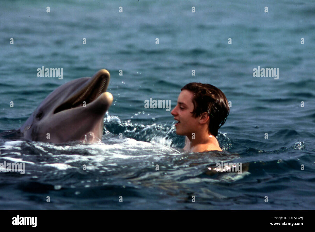 Flipper Flipper Elijah Wood Sandy (Elijah Wood) freundet sich mit dem ...