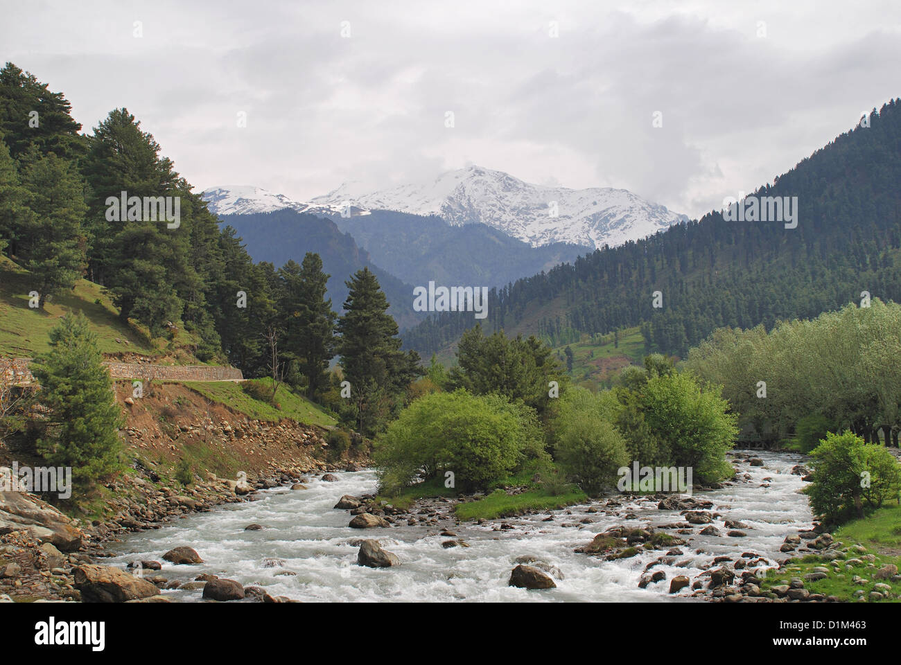Lidder river pahalgam kashmir india hi-res stock photography and images ...