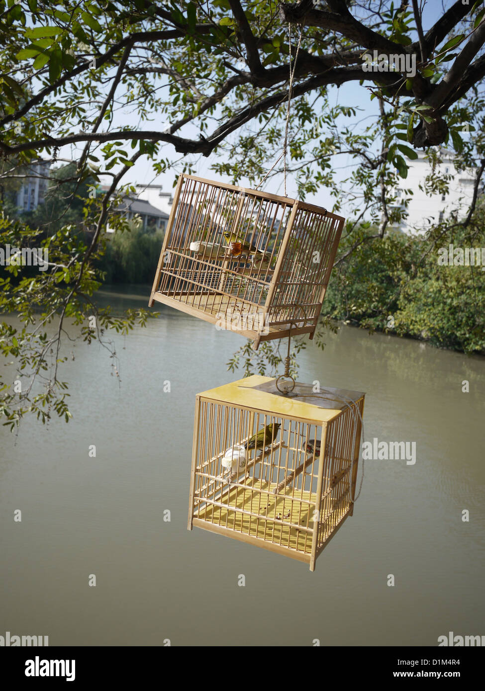 The hanging tree hi-res stock photography and images - Alamy