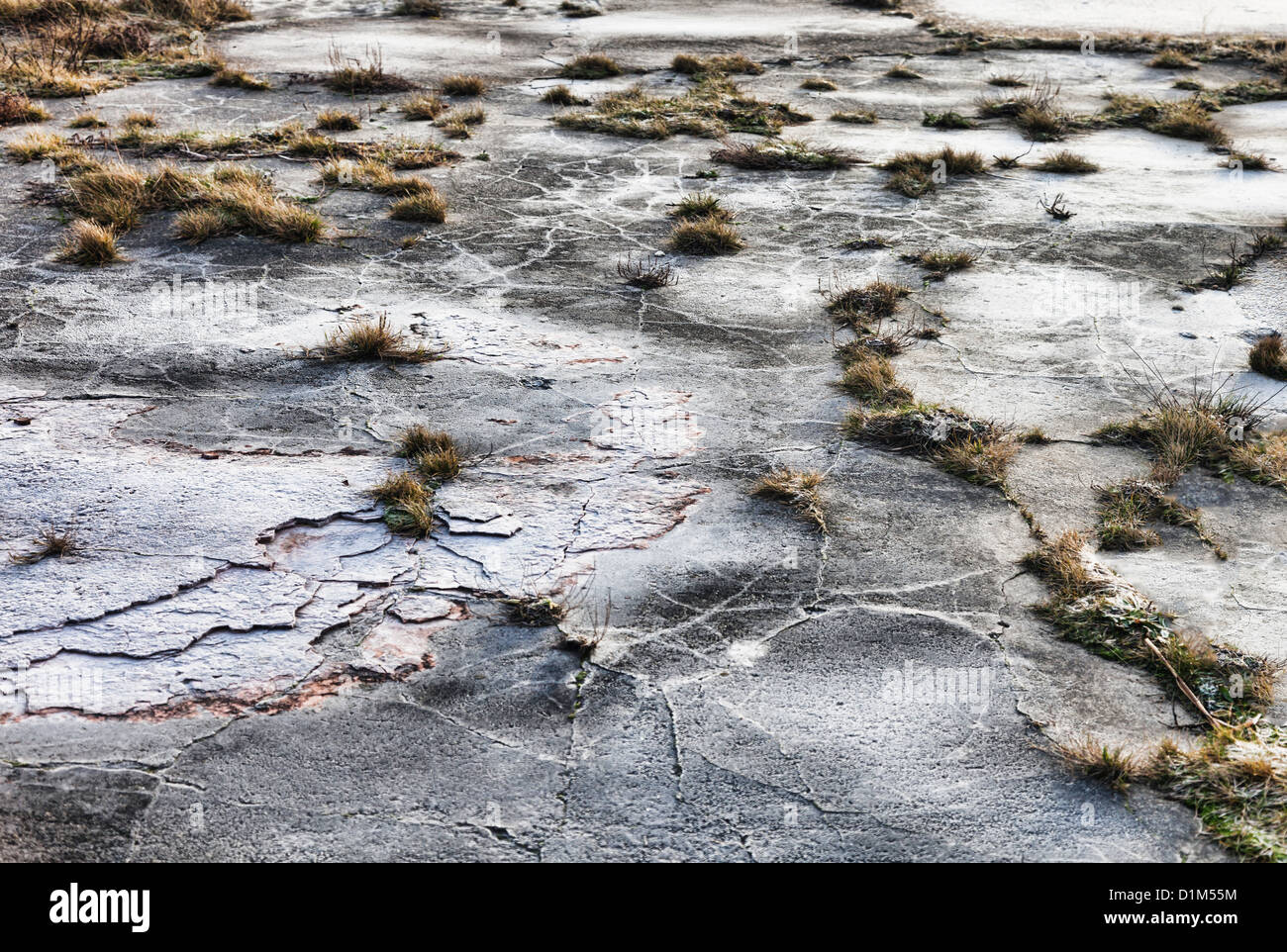 Ice and stones hi-res stock photography and images - Alamy