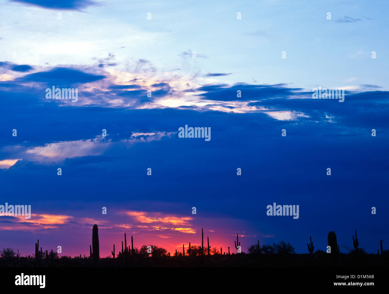 Moon rise over arizona desert hi-res stock photography and images - Alamy