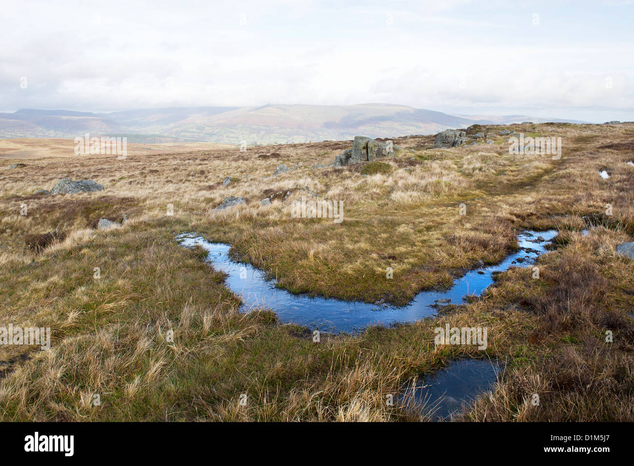 Waterlogged rock hi-res stock photography and images - Alamy