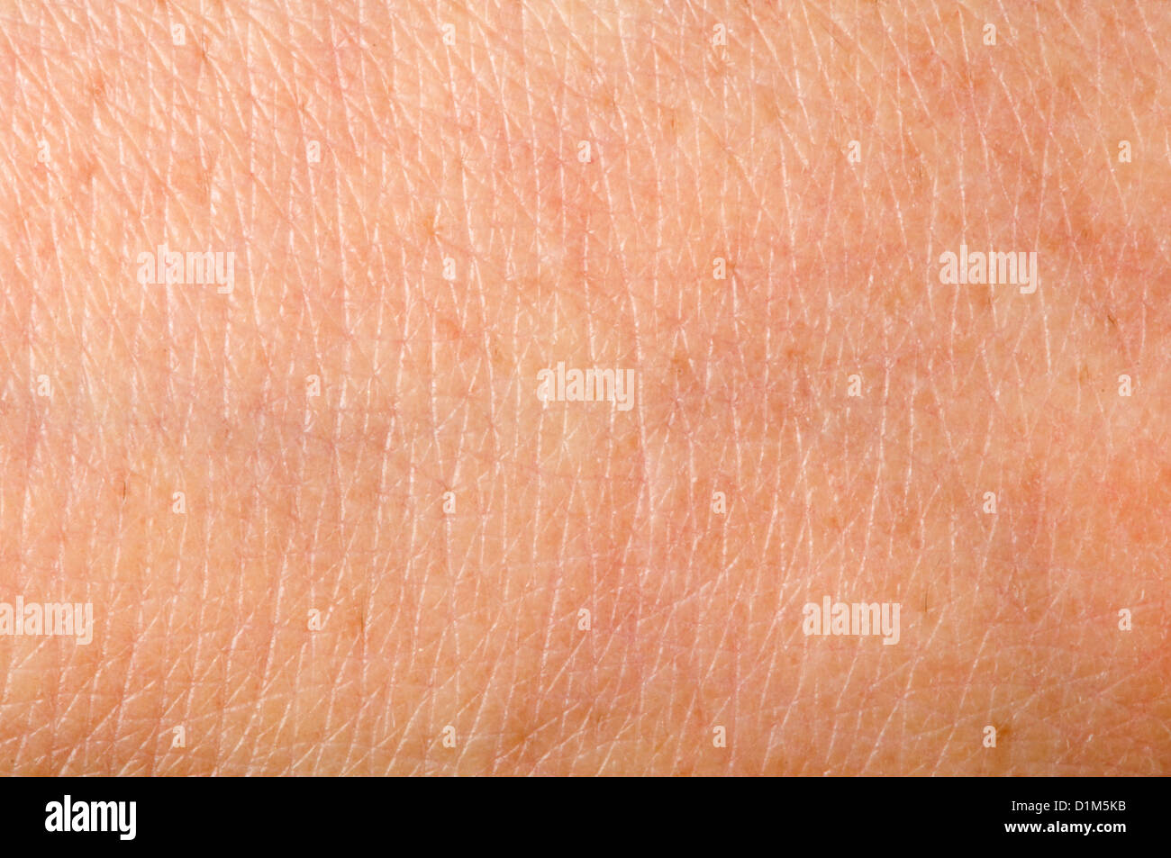 Human skin hi-res stock photography and images - Alamy