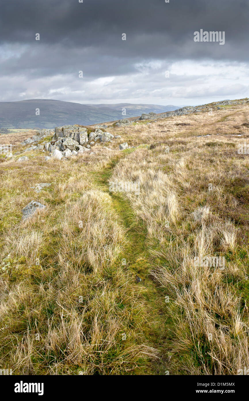 Moorland rock grass hi-res stock photography and images - Alamy