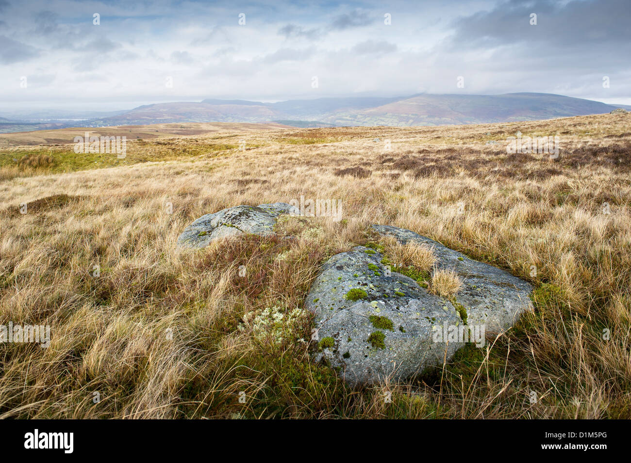 Welsh moorland hi-res stock photography and images - Alamy