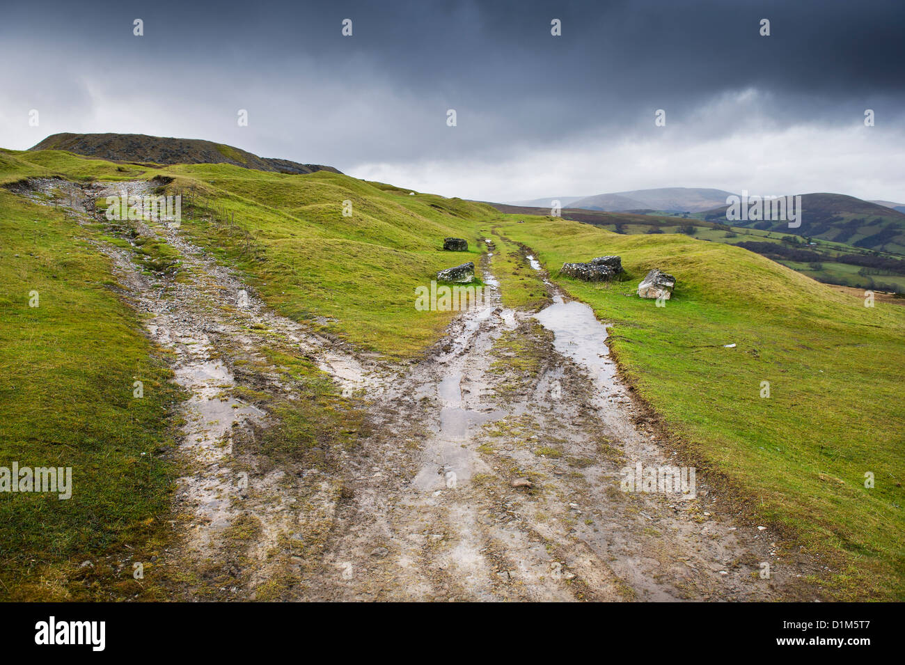 Grass waterlogged hi-res stock photography and images - Alamy