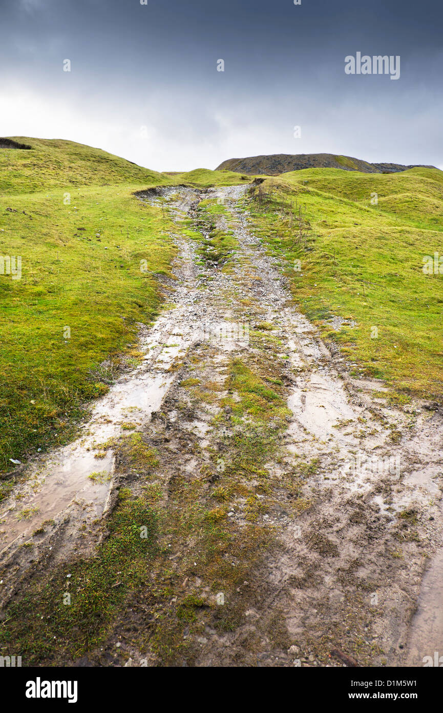 Waterlogged grass hi-res stock photography and images - Alamy