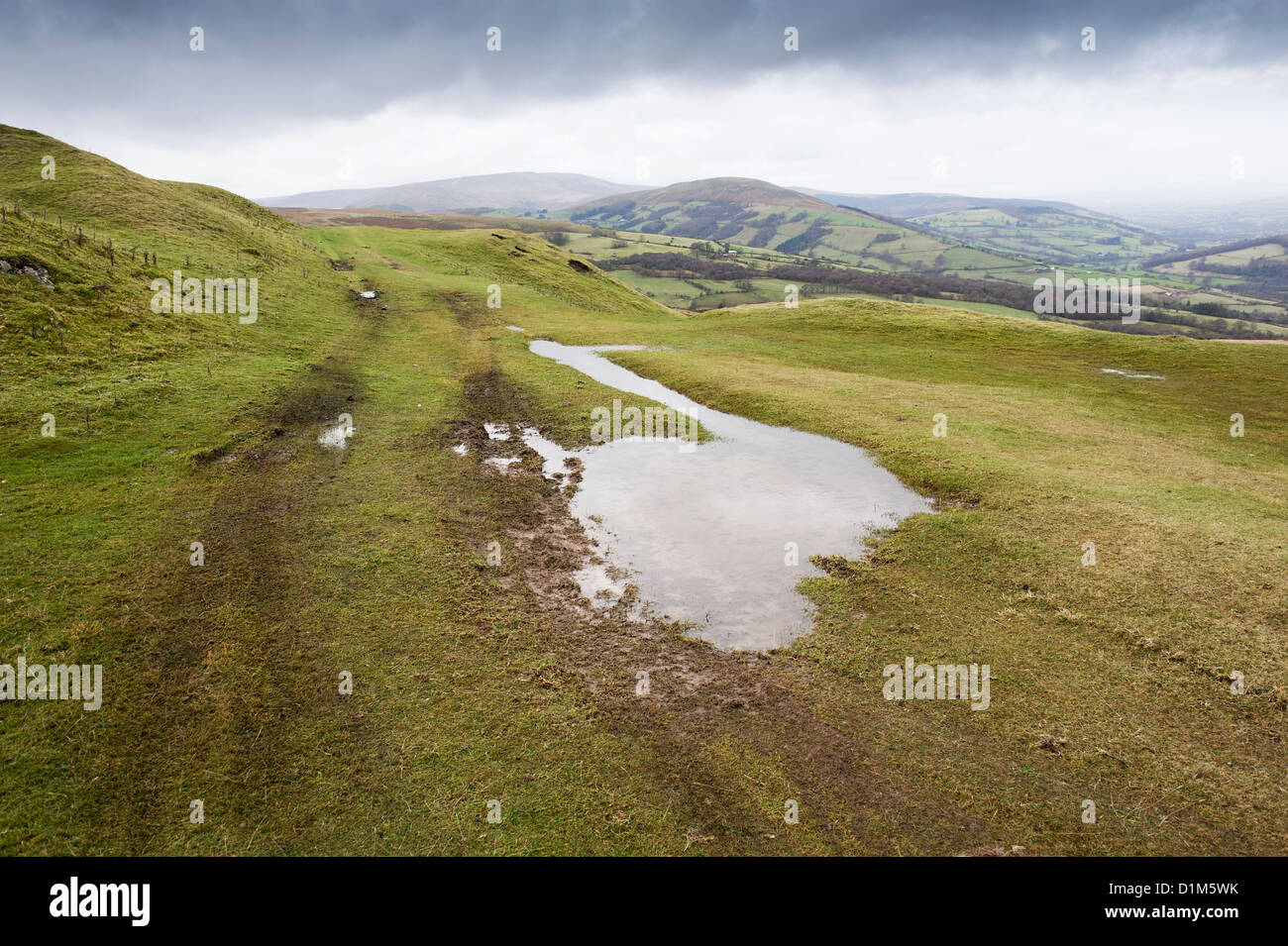 Waterlogged grass hi-res stock photography and images - Alamy