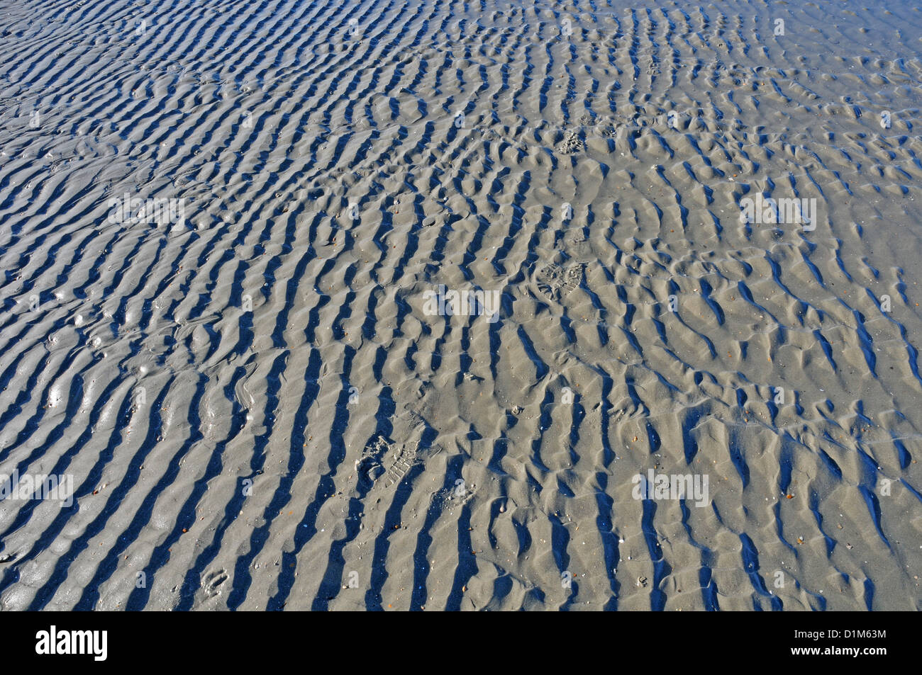 Ribbed sand hi-res stock photography and images - Alamy
