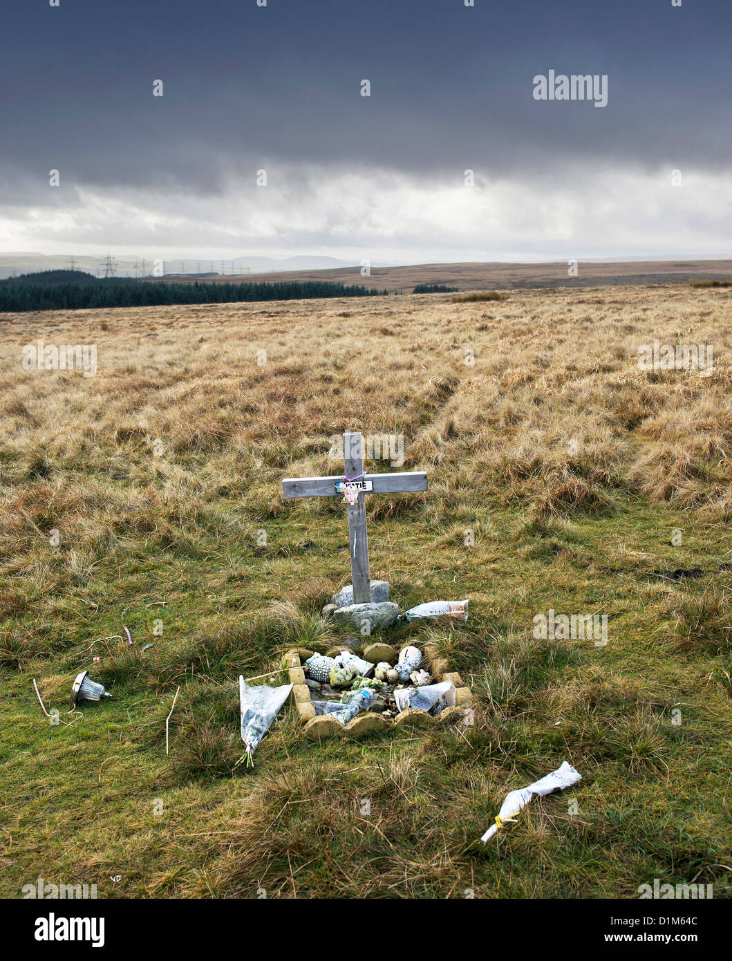 Katie roberts hi-res stock photography and images - Alamy