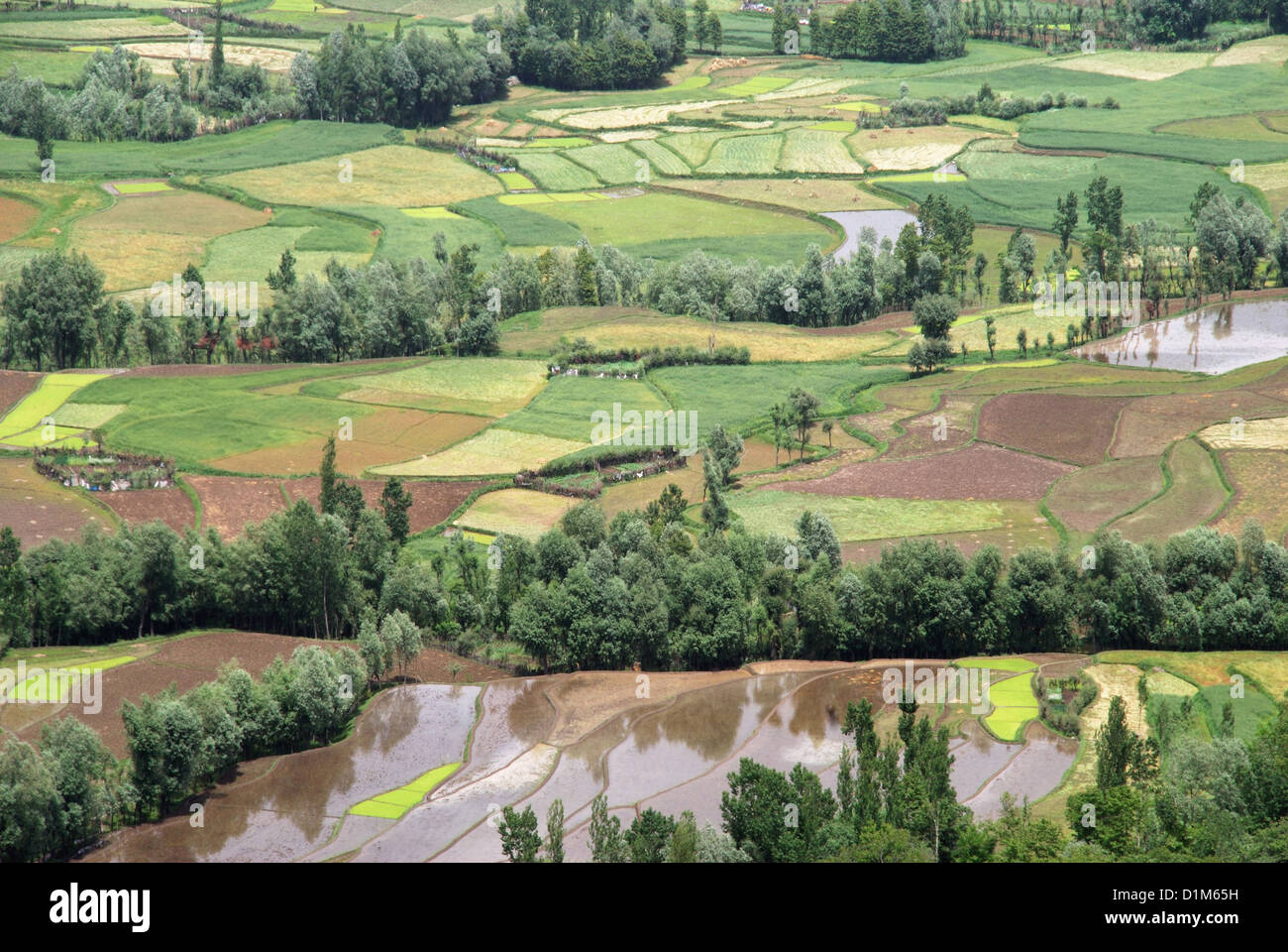View of green fields, Jammu & Kashmir, India Stock Photo - Alamy