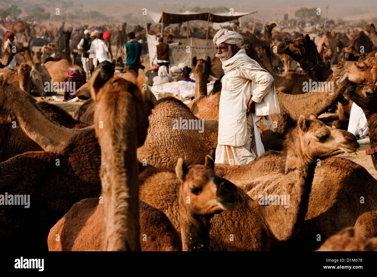 Camel traders in turbans attend the colorful annual camel fair in the ...