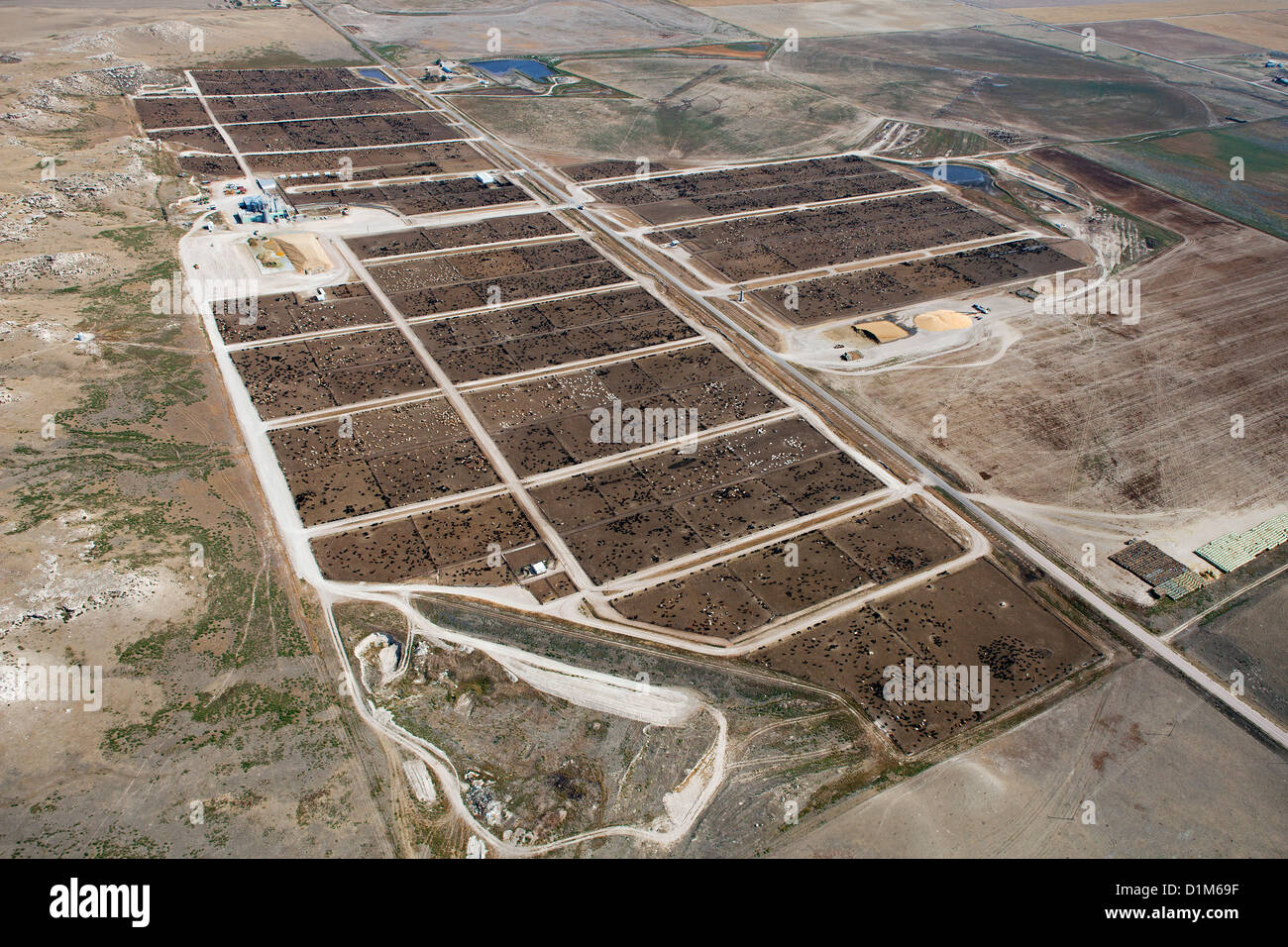 Cattle feedlot america hi-res stock photography and images - Alamy