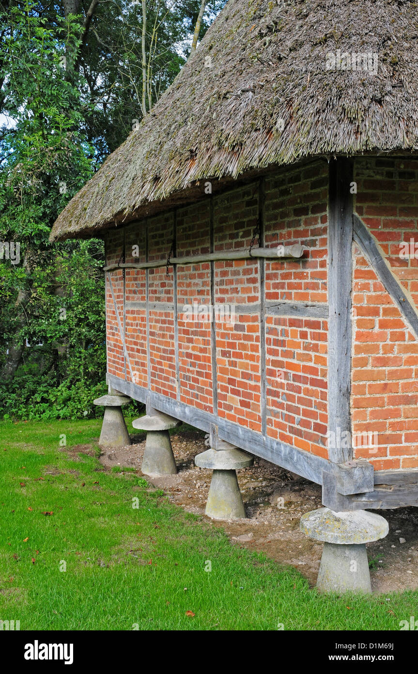 Steddle stones supporting the Granary from Littlehampton. Weald And ...