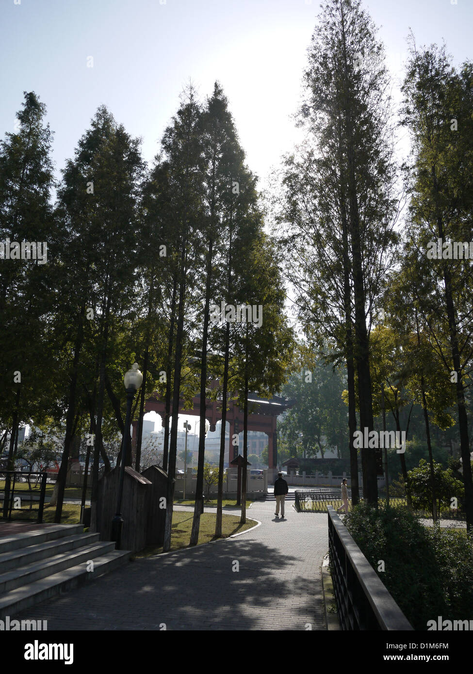 public park garden tall trees china Stock Photo - Alamy