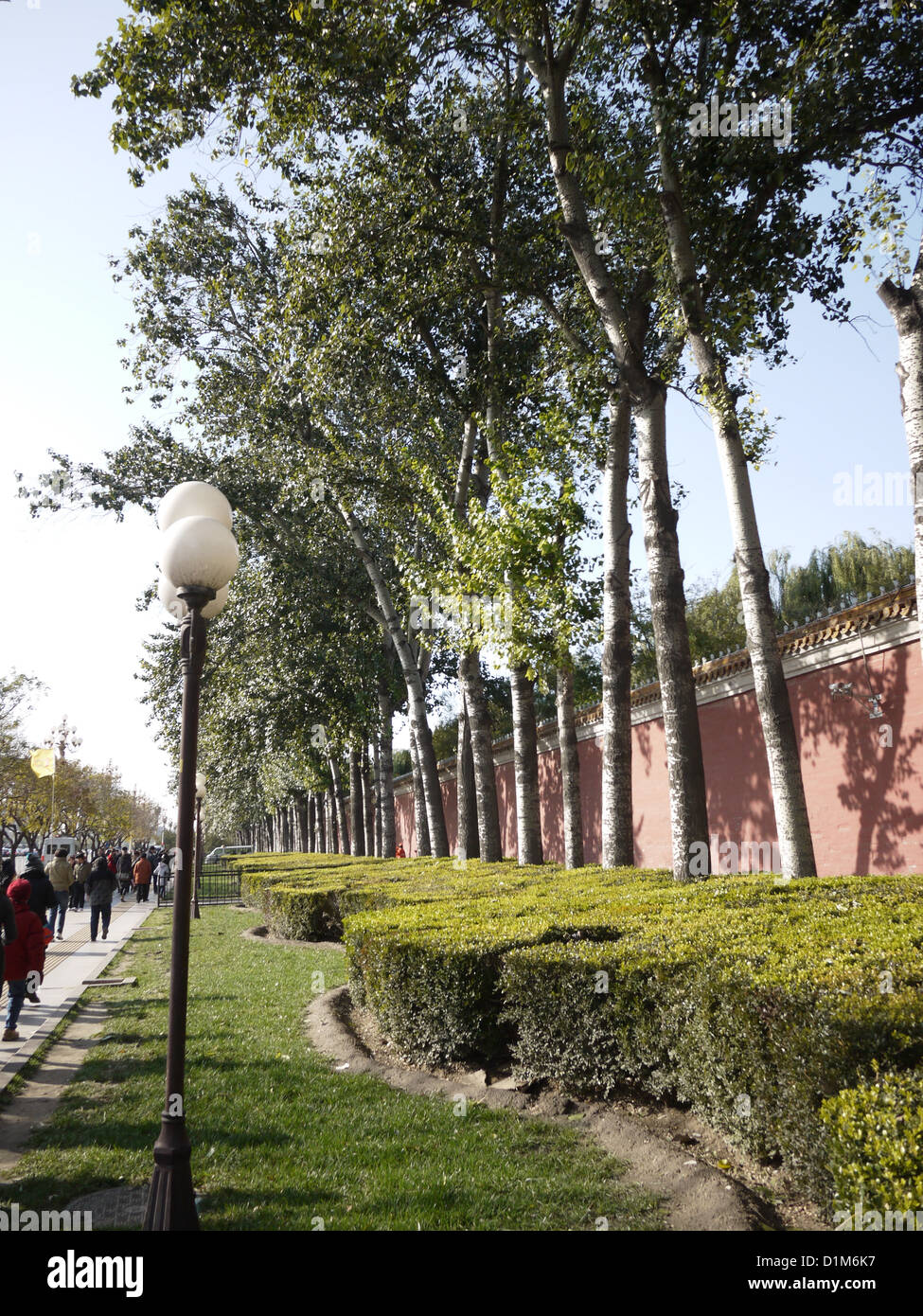 landscape tree plants Beijing city urban Stock Photo - Alamy