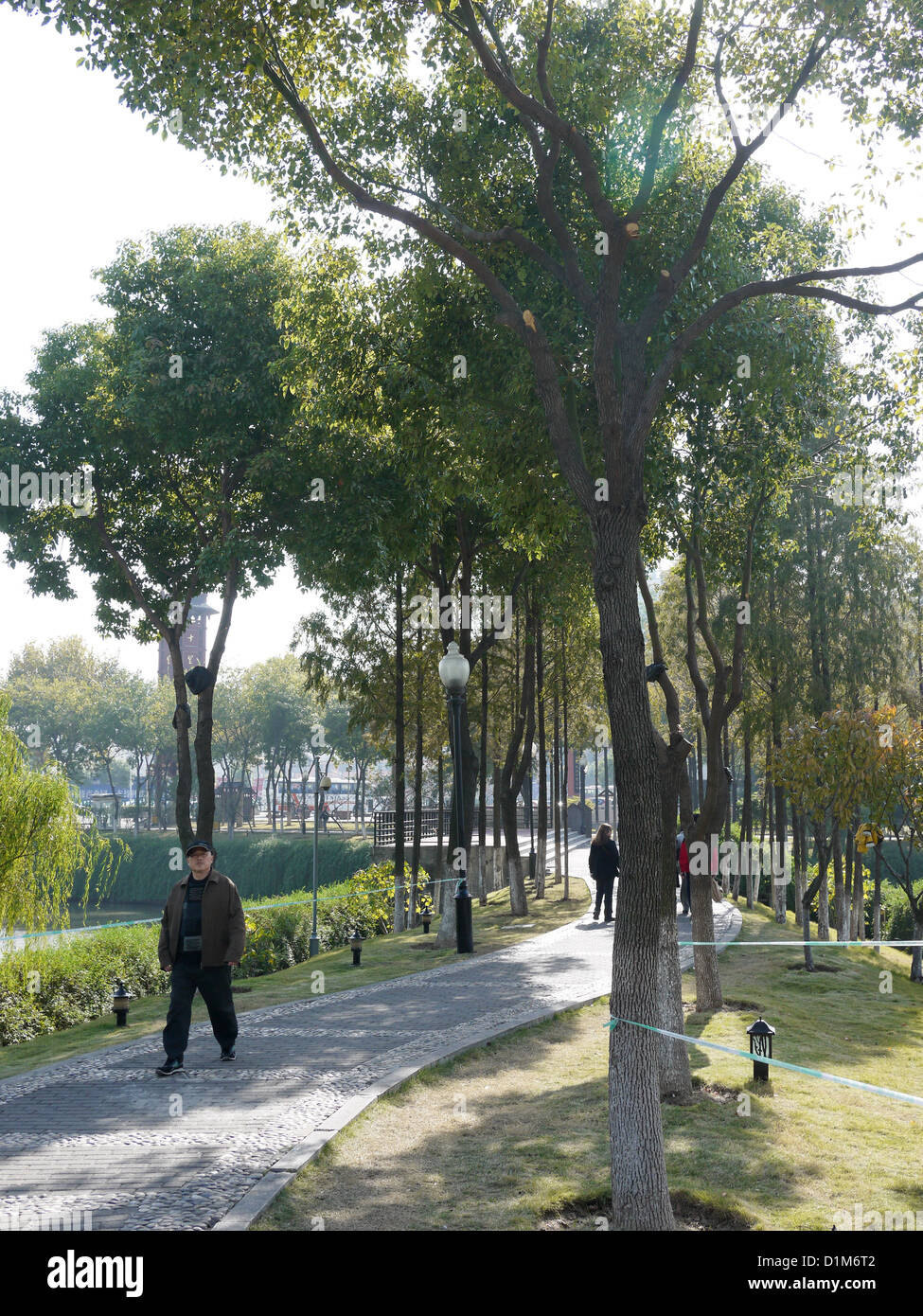 old chinese retiree walking park garden tall tree Stock Photo - Alamy