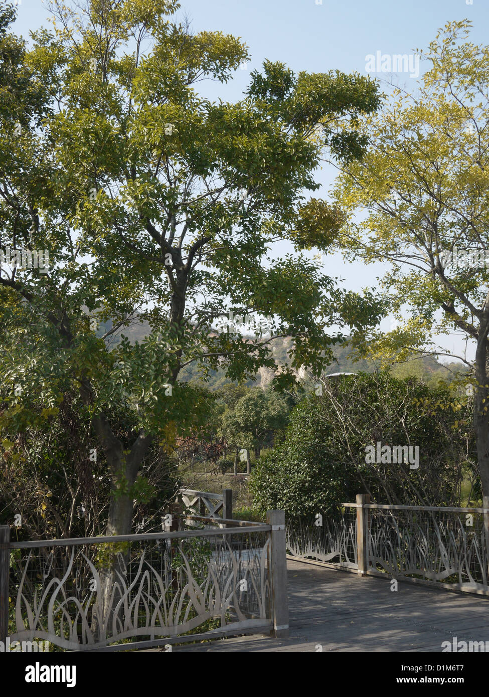 park tree bridge beautiful sunny outdoor china Stock Photo - Alamy