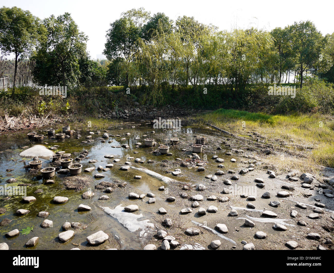 wetland pond water stone rock trees grass Stock Photo - Alamy