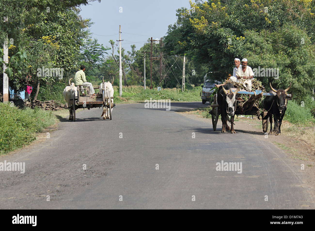 Bullock cart transport hi-res stock photography and images - Alamy
