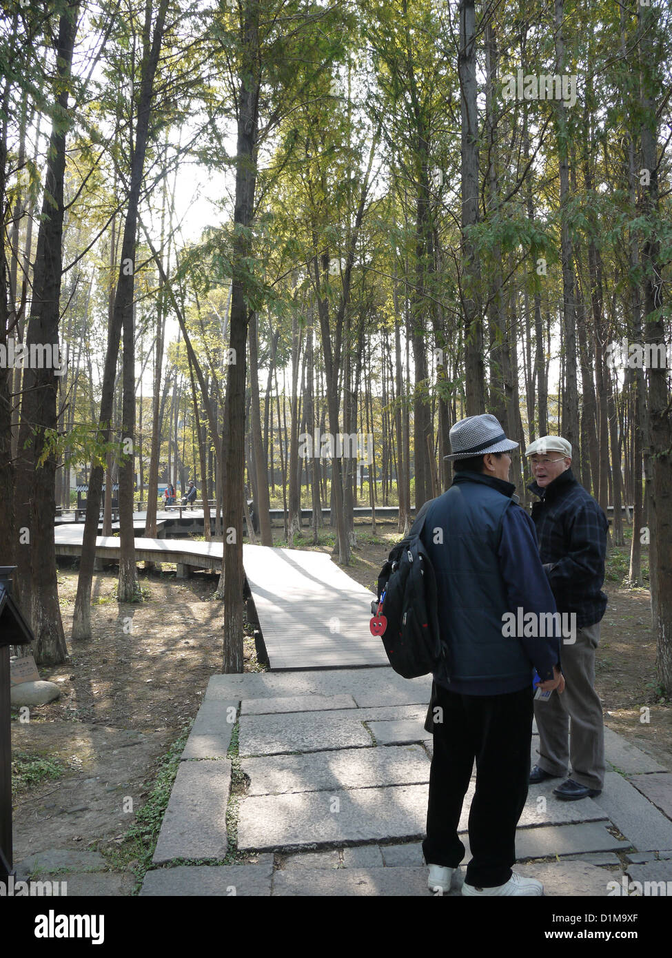 Chinese tourist senior hiker nature forest pathway Stock Photo - Alamy