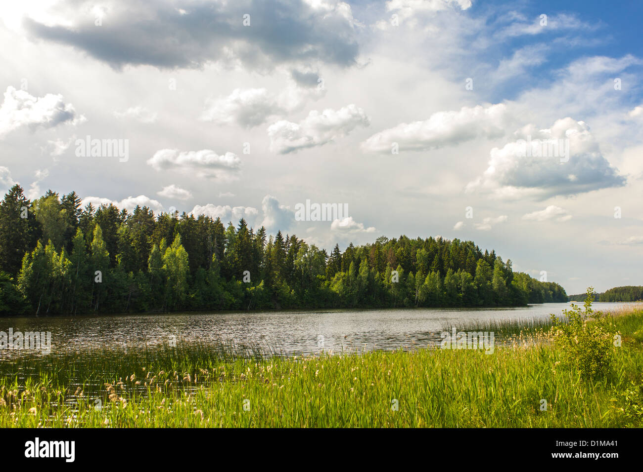 Estonian summer hi-res stock photography and images - Alamy