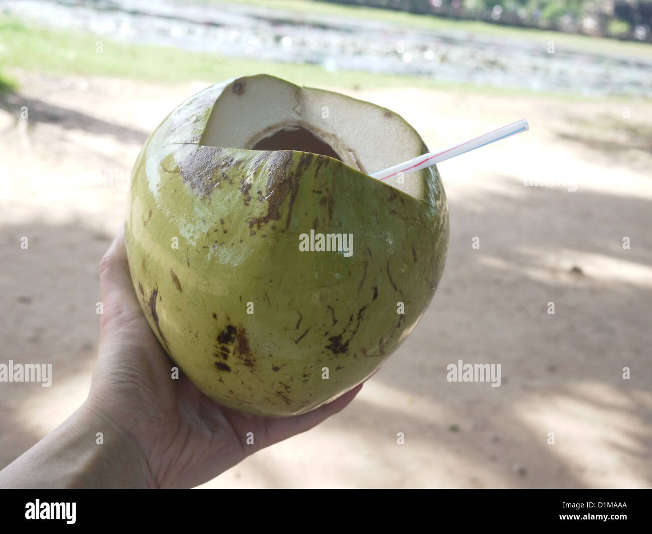 coconut straw Asia Stock Photo - Alamy