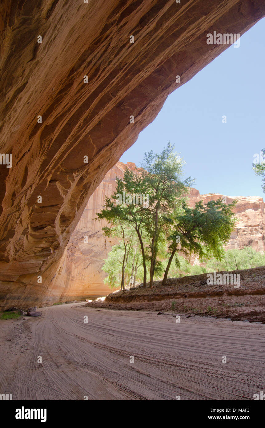 Canyon de Chelly National Monument Arizona ancient home to the Ancient ...