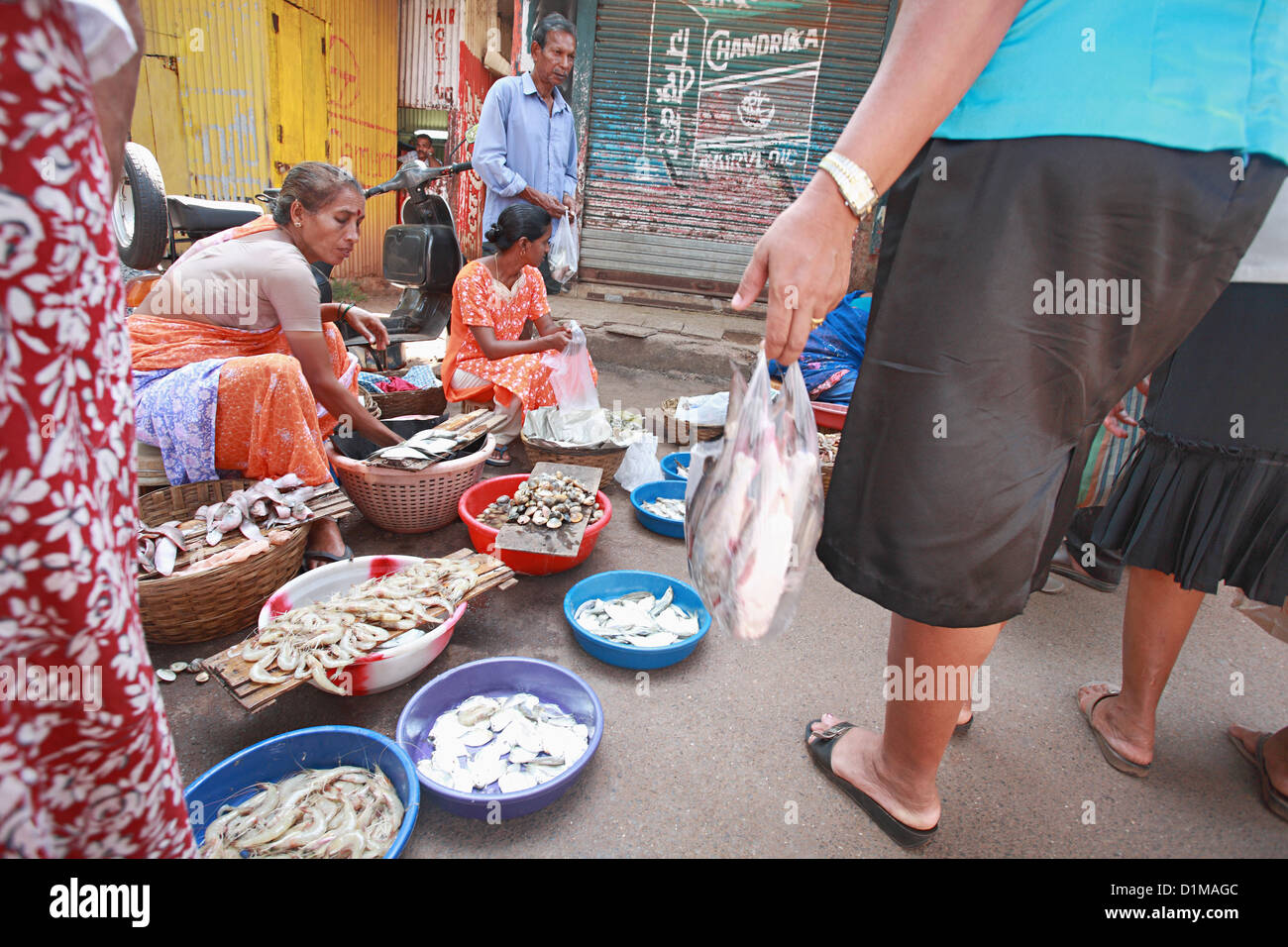 Lady selling fresh fish at market, Goa Stock Photo - Alamy