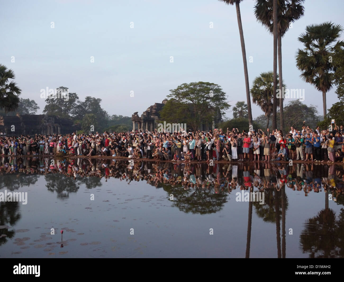 visitors watching sunrise Angkor Wat Cambodia Stock Photo - Alamy