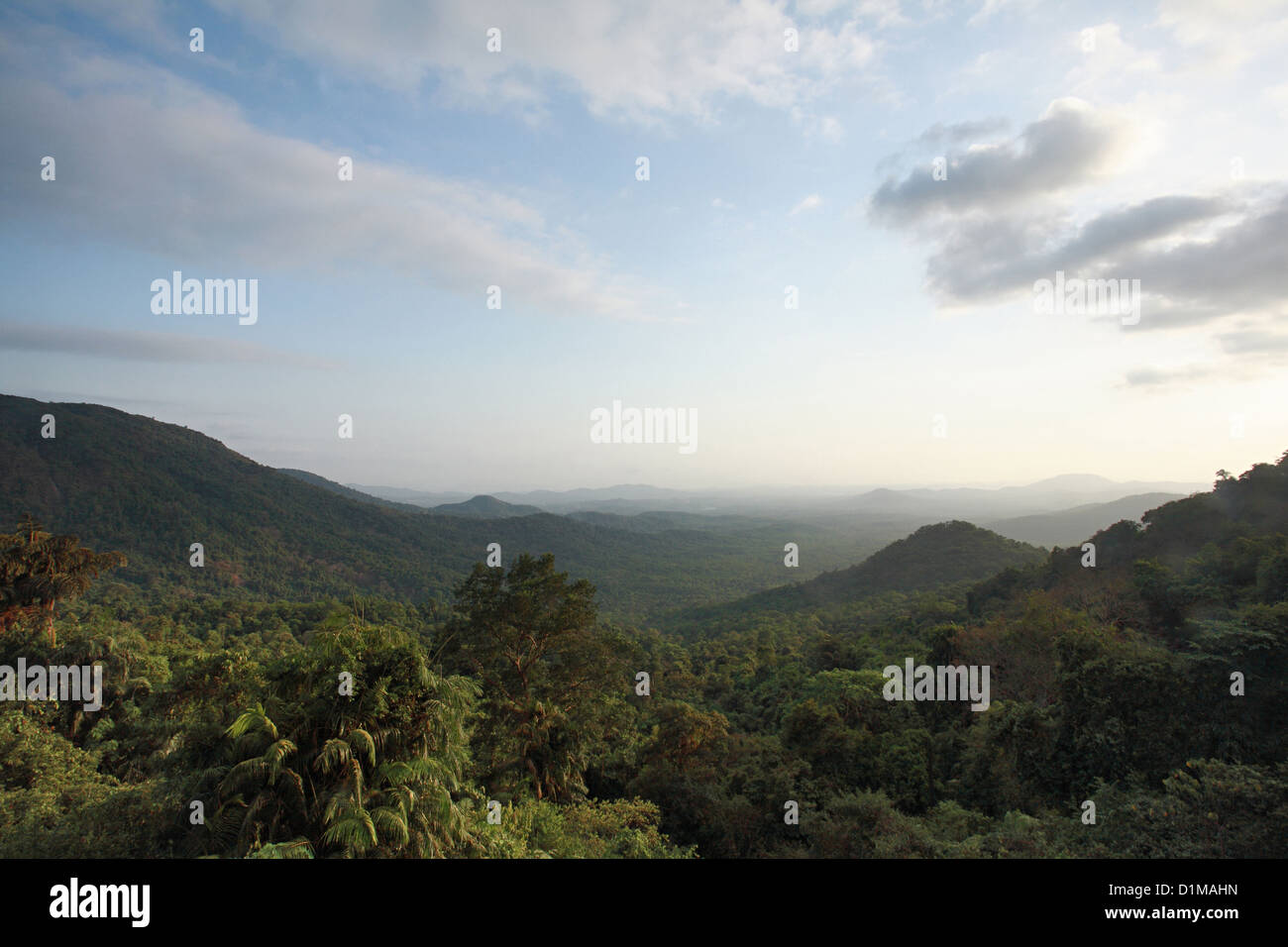 Mollem national park hi-res stock photography and images - Alamy