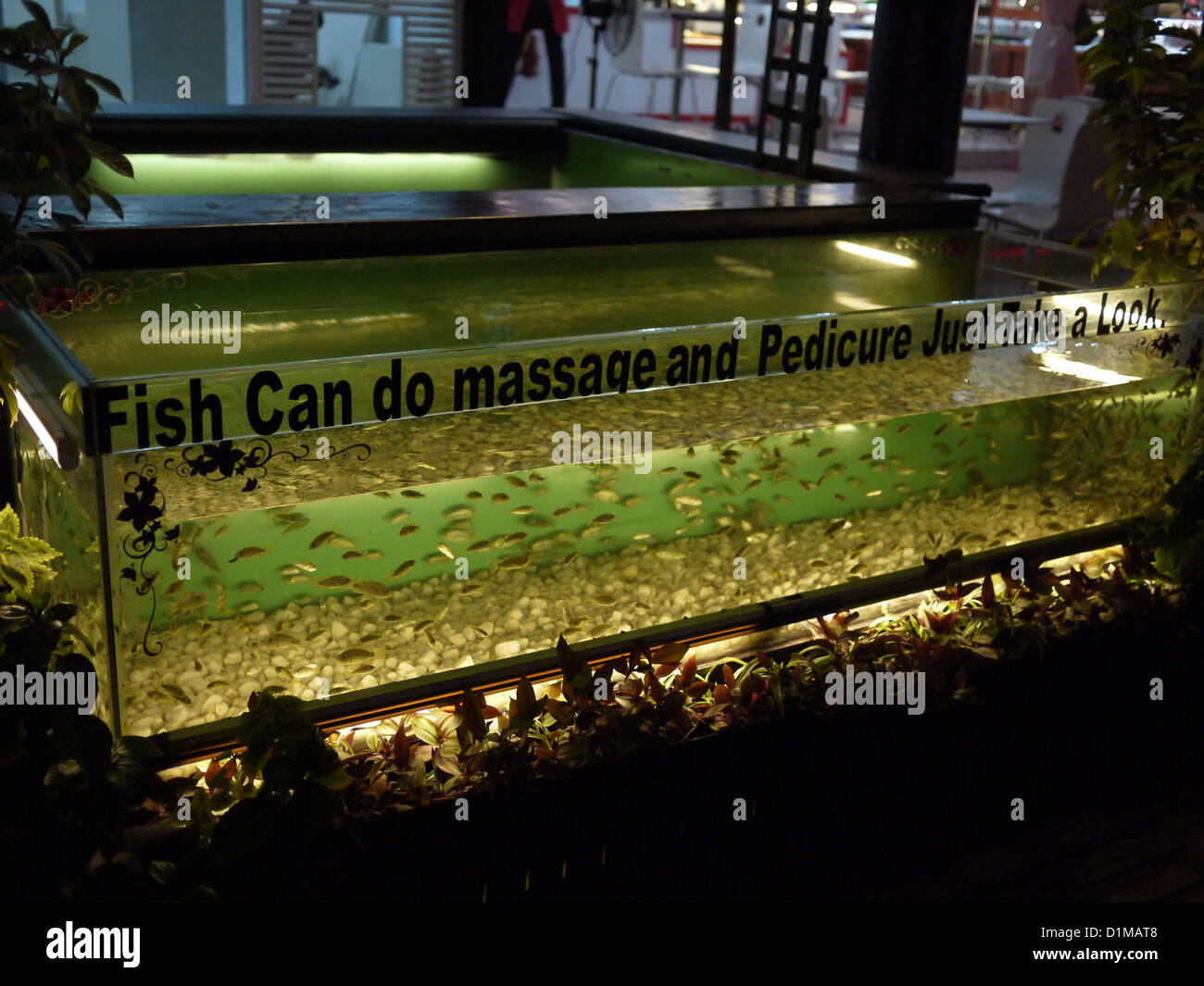 fish massage tank Stock Photo - Alamy