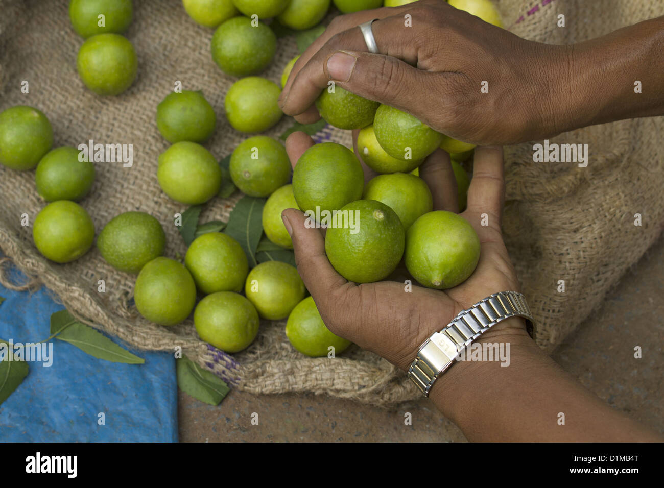 Lemon seller at market, Bicholim, Goa Stock Photo - Alamy