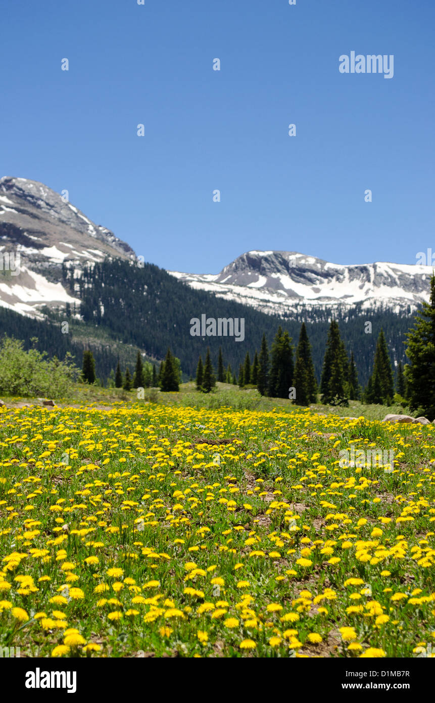 Molas lake campground hi-res stock photography and images - Alamy